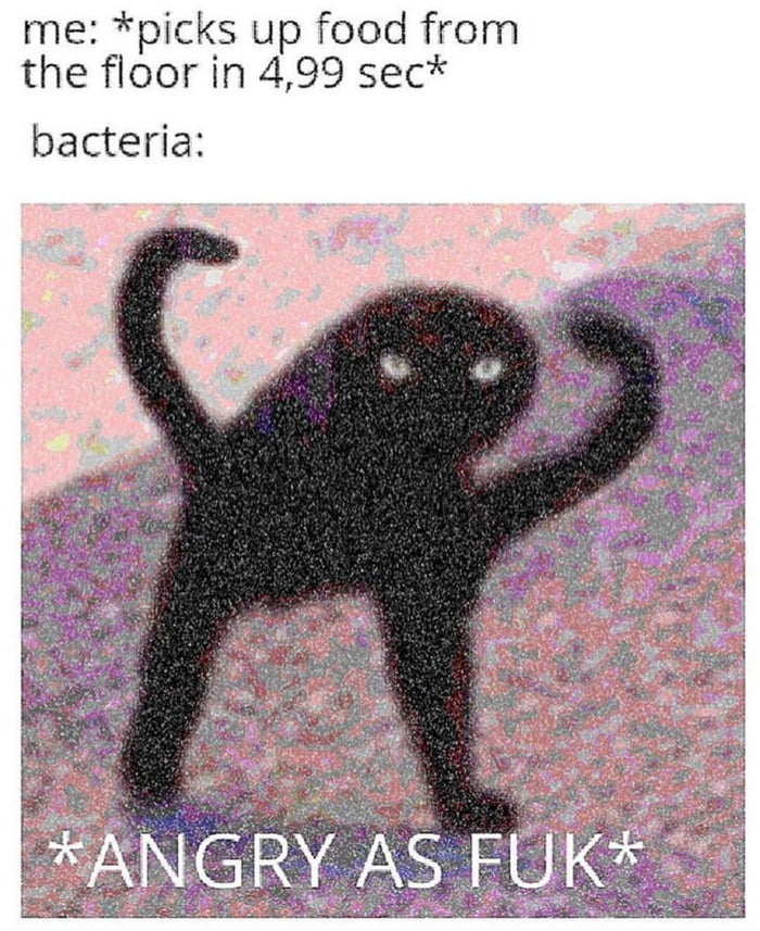 5 seconds rule - 9GAG