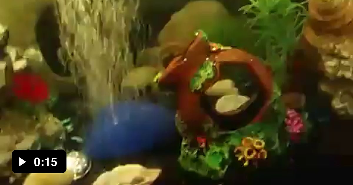 Ma snail is such a daredevil - 9GAG