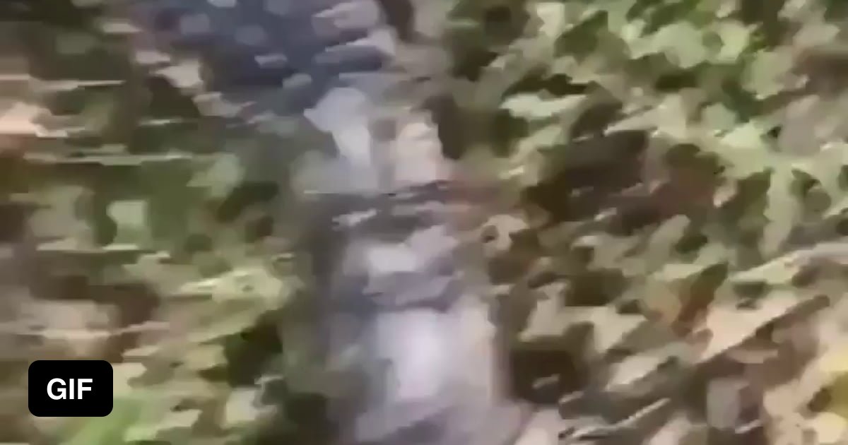 Toss that gator - 9GAG