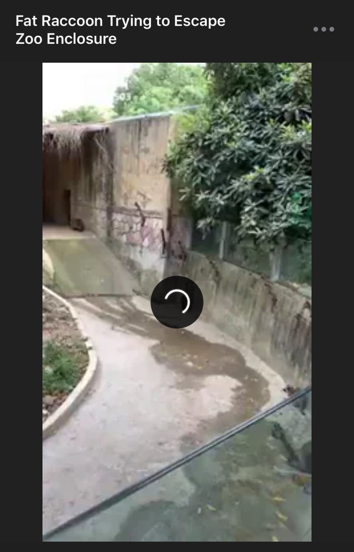 Anyone else having issues with infinite loading gifs and videos on the app? - 9GAG