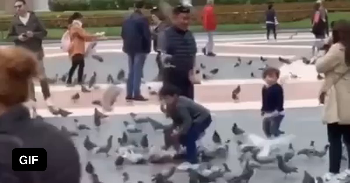 Kid launching birds at people - 9GAG