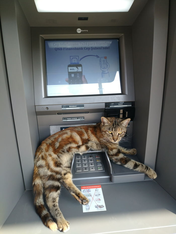 This ATM is occupied - 9GAG