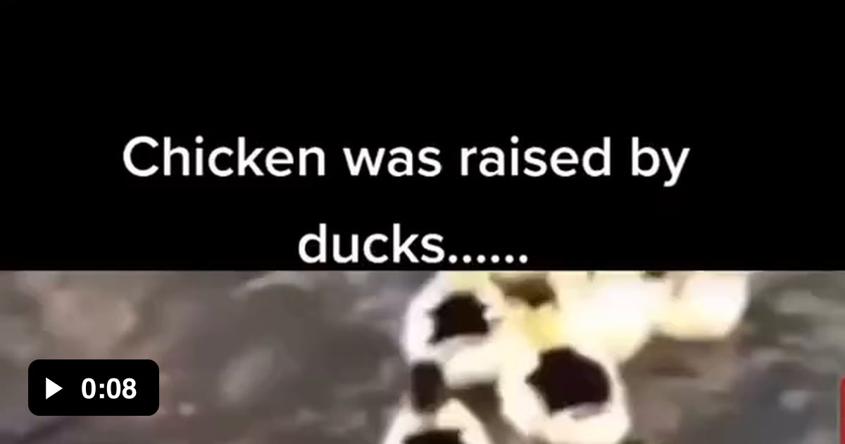 Code wrong. Works right - 9GAG