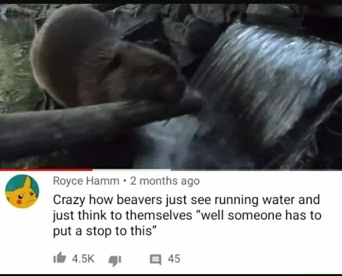 How dare you flow.... - 9GAG