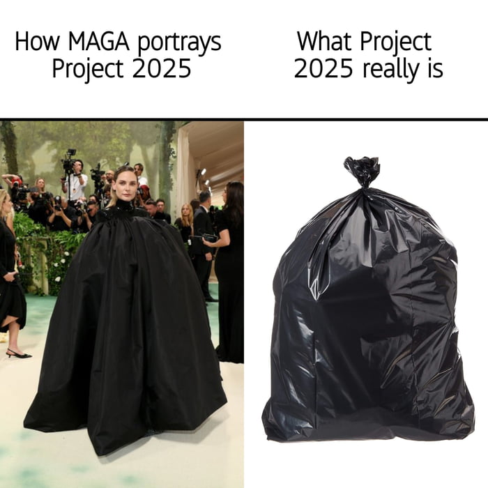Don't be fooled by how Project 2025 is portrayed—here's the reality - 9GAG