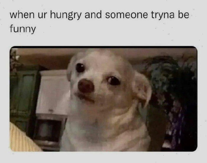 Just feed me already! - 9GAG