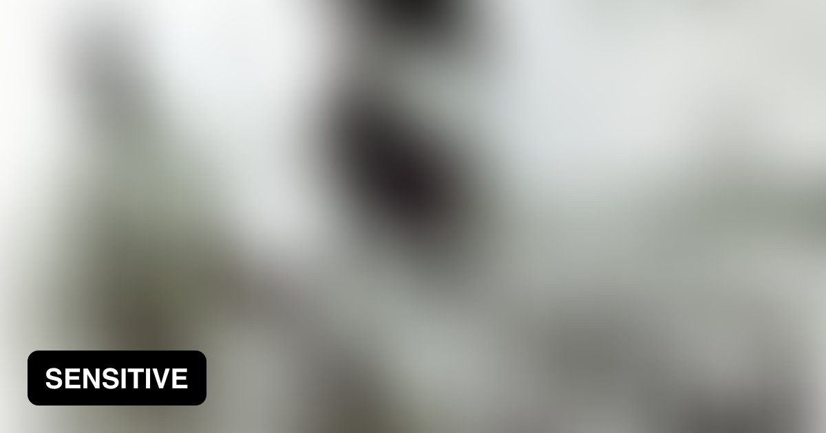 12 yeard old girl April Atkins, carries her family on her back (over ...