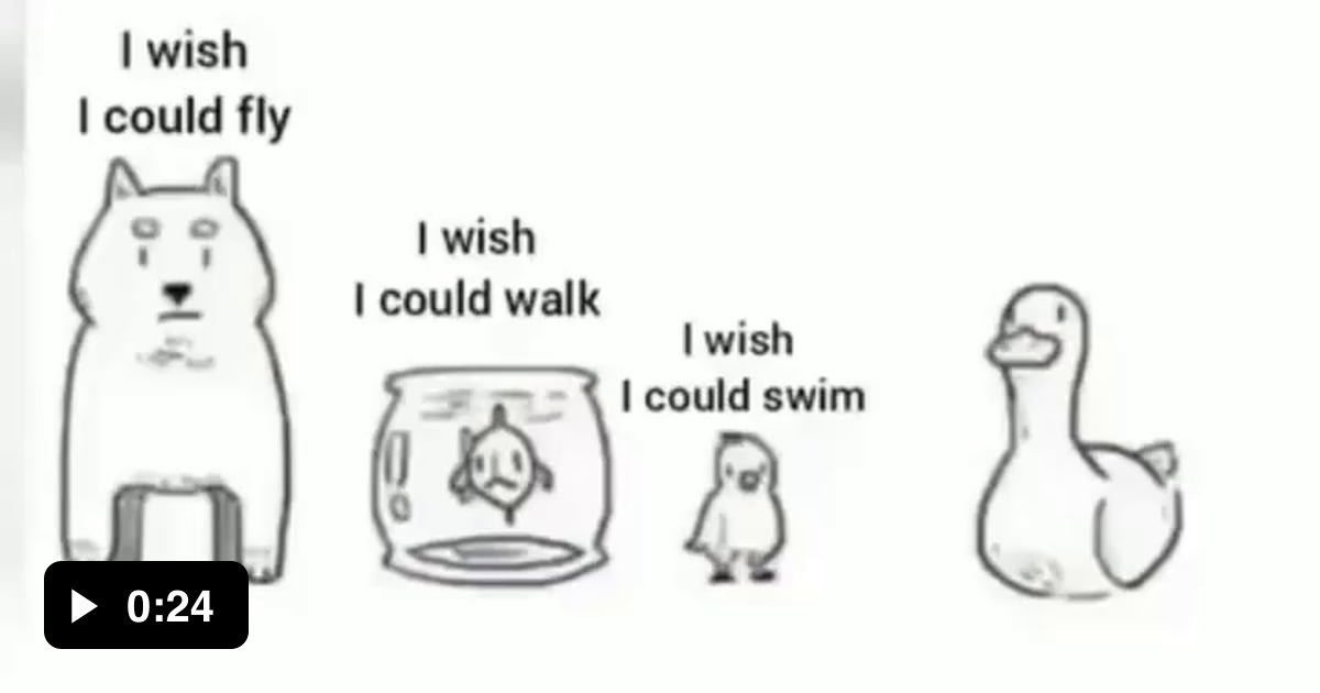 Duck supremacy - 9GAG