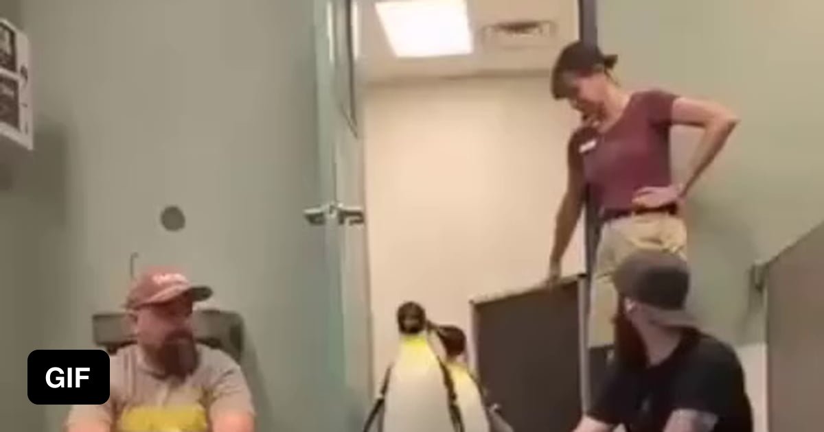 When the suits (corporate) show up for an inspection - 9GAG