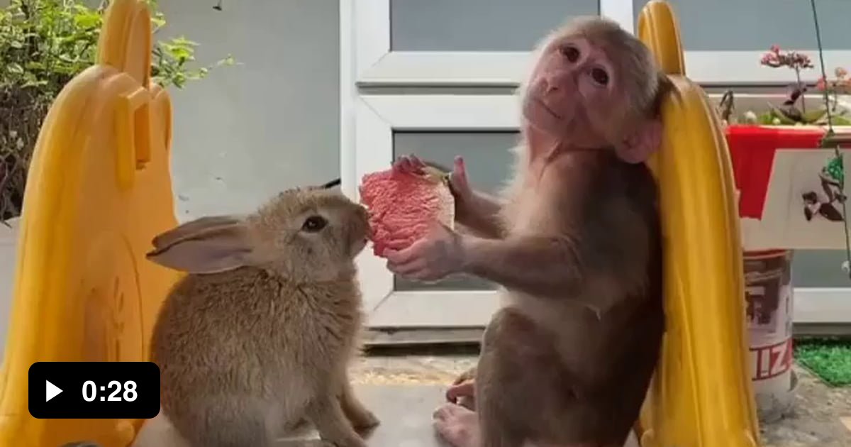 He loves his bunny. - 9GAG