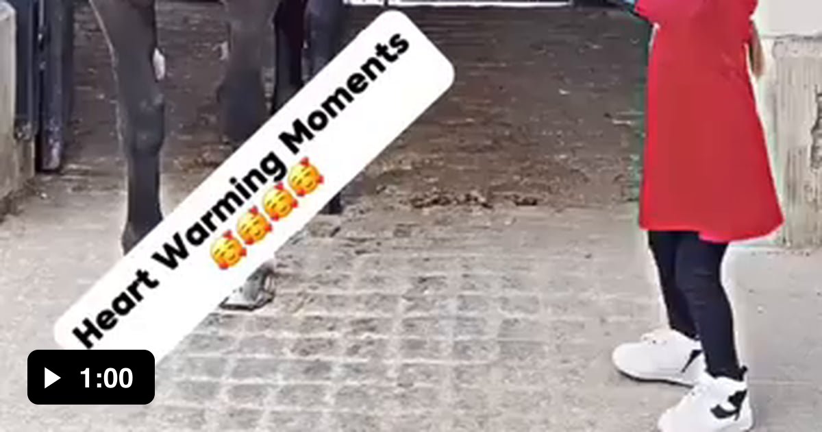 Respect for this guard - 9GAG