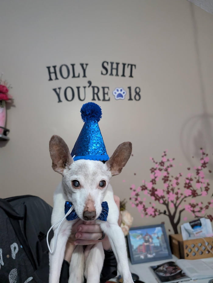 Old man just had a big day - 9GAG