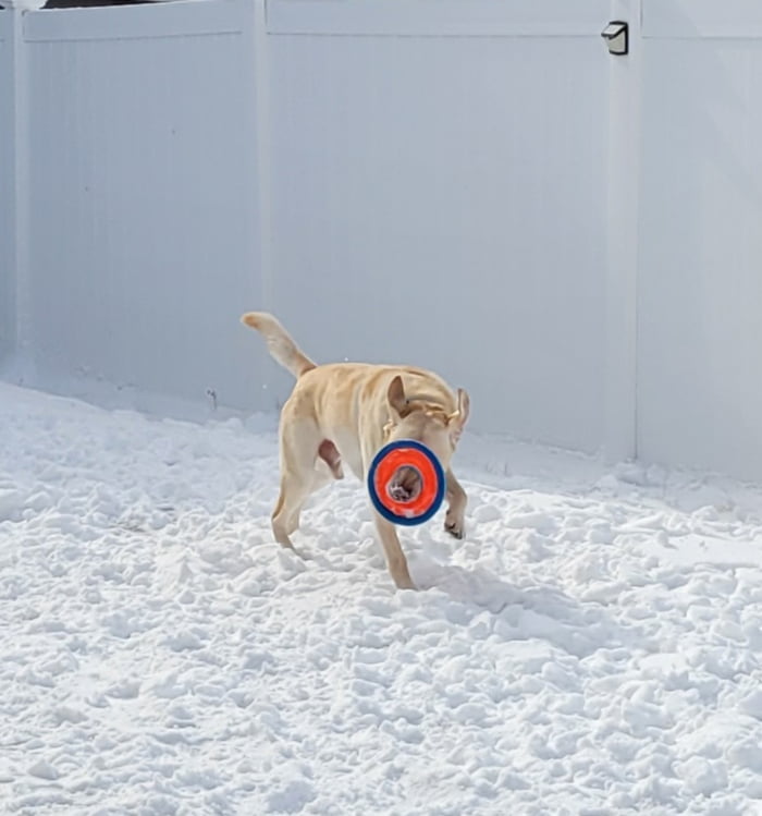 Running blind - 9GAG