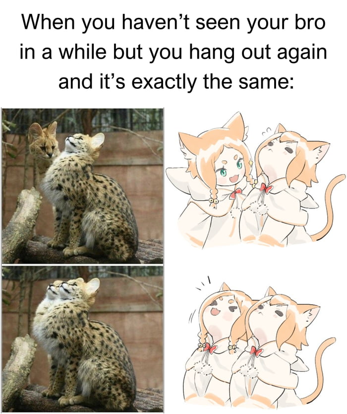 Nothing changed - 9GAG