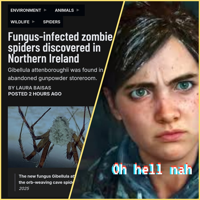 Need more ammo - 9GAG