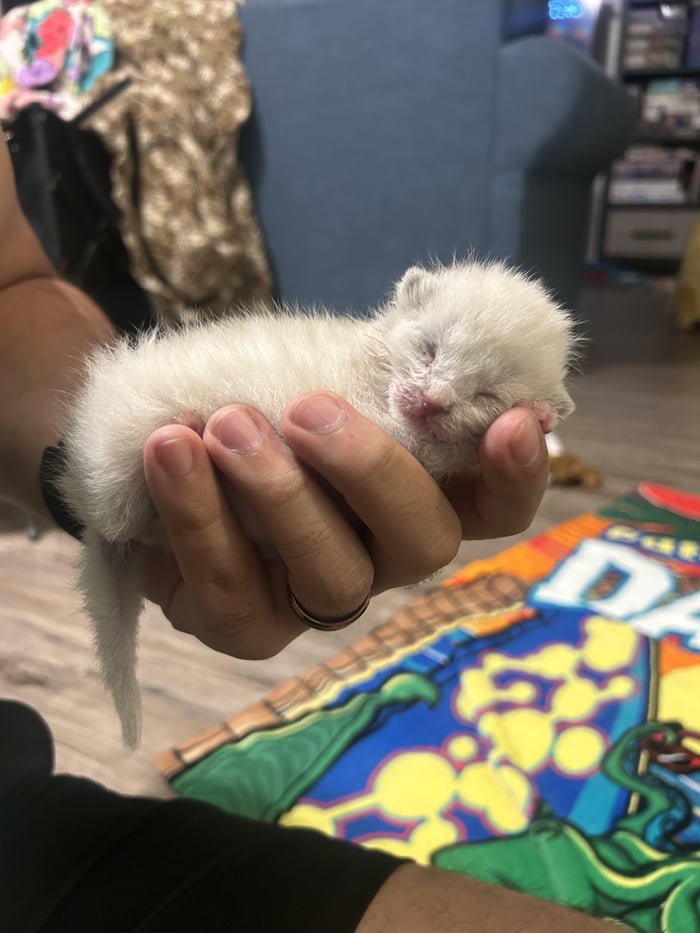 Sweet little baby - 9GAG