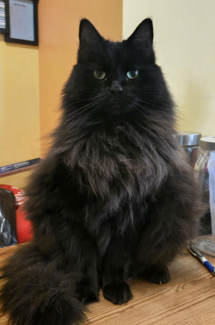 Take the pic and be gone with you. - 9GAG