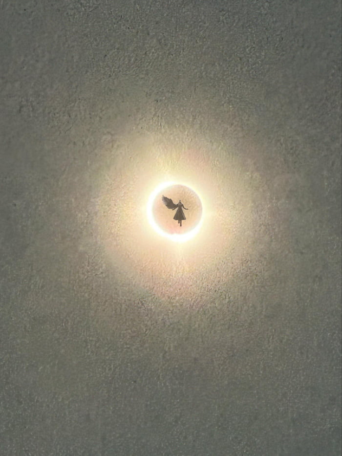 The One Winged solar eclipse. - 9GAG