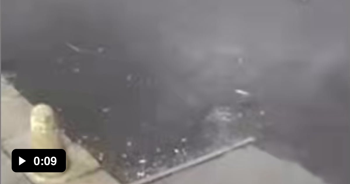 Pidgey use wing attack - 9GAG