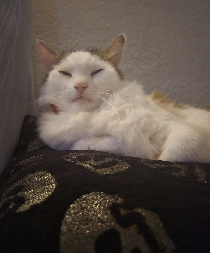 Is it time for second dinner - 9GAG