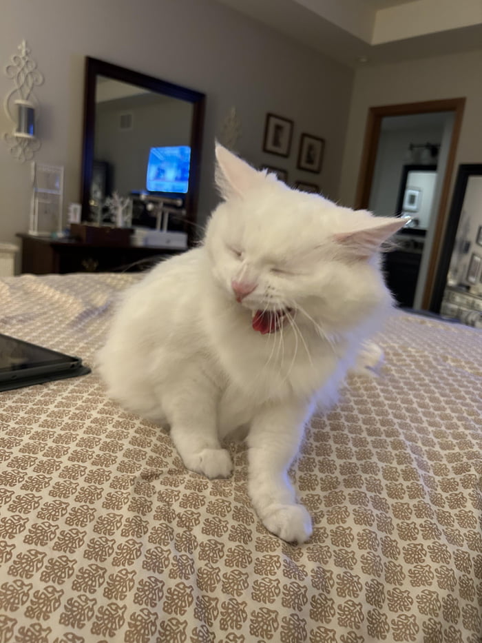 Screaming into the void - 9GAG