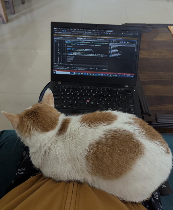 Jojo boy debugging the code on a cold Wednesday morning. - 9GAG
