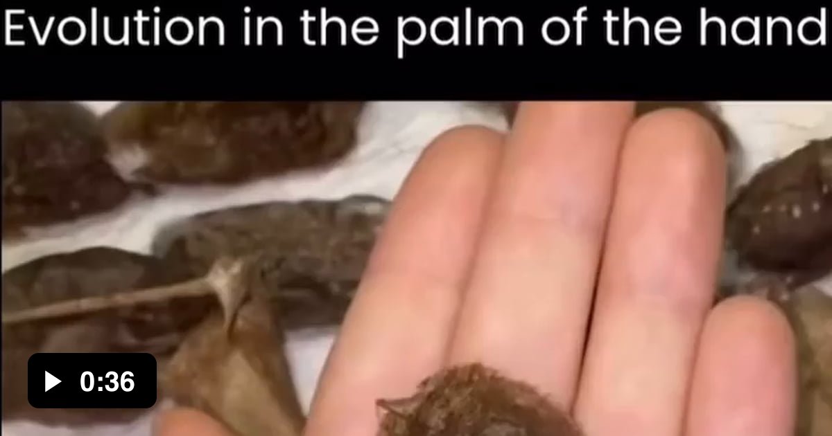 Seed Master (Beast Master's Apprentice) - 9GAG