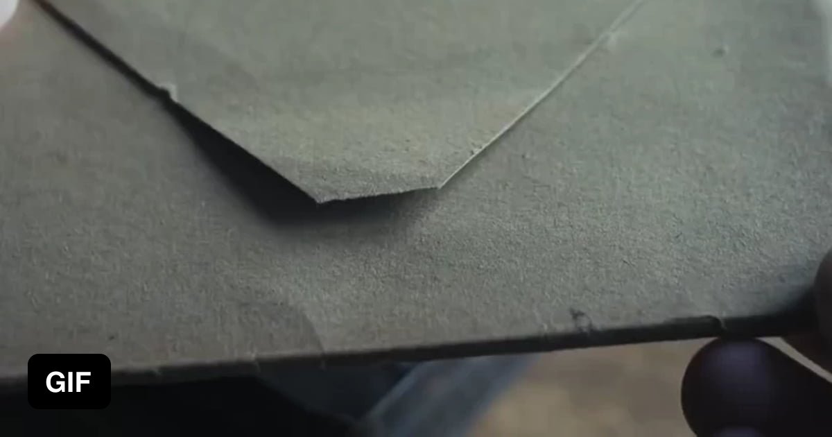 120-Year-Old Negative That Contains Photo of Cat - 9GAG