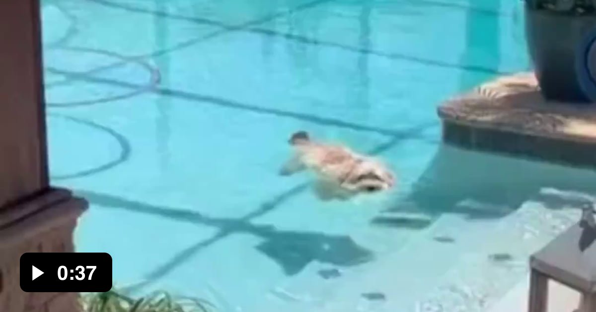 The only way to survive this summer… - 9GAG