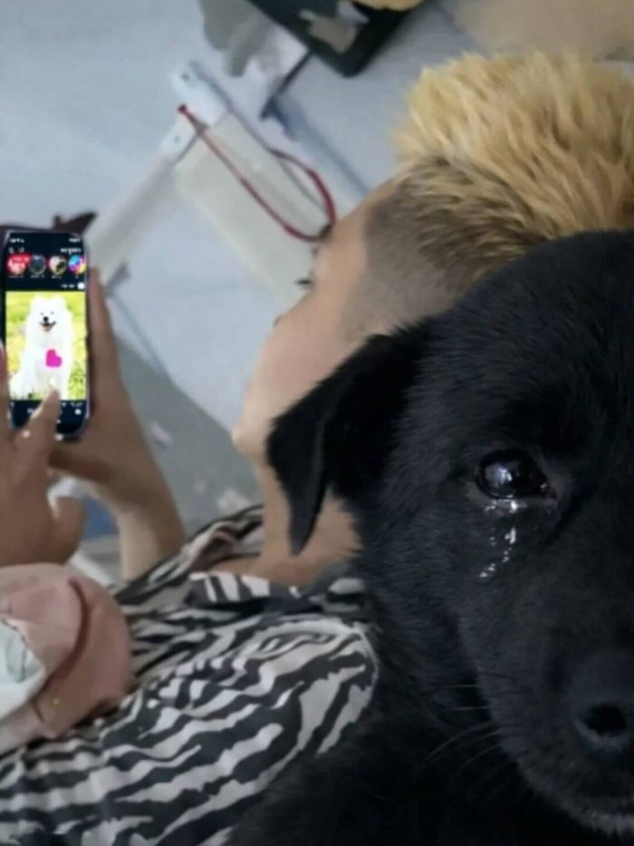 When she found another good boy... - 9GAG