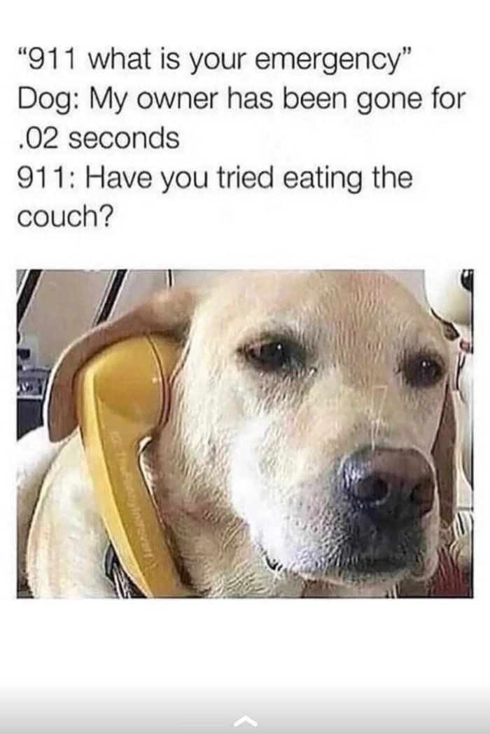 Dumping my meme collection to celebrate 5000 days - 16 - 9GAG