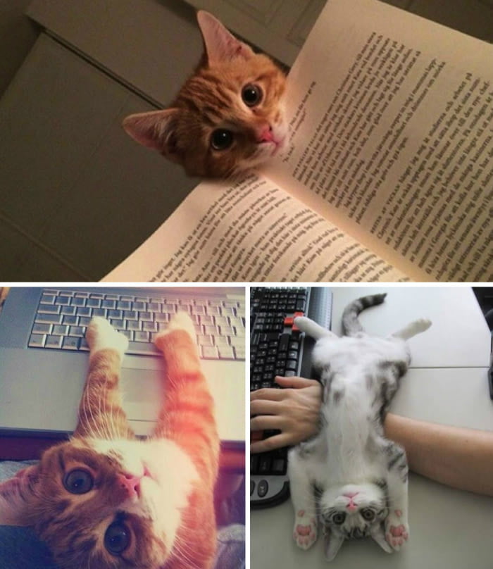 How my Fleshlight looks at me after always - 9GAG