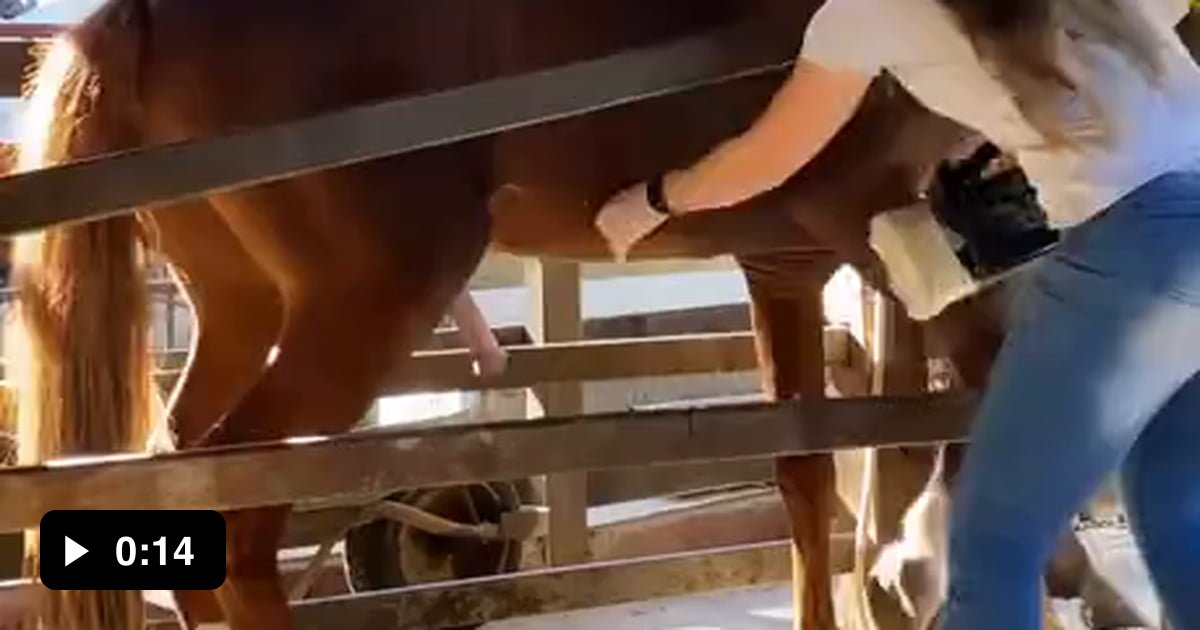 Where do i apply - 9GAG