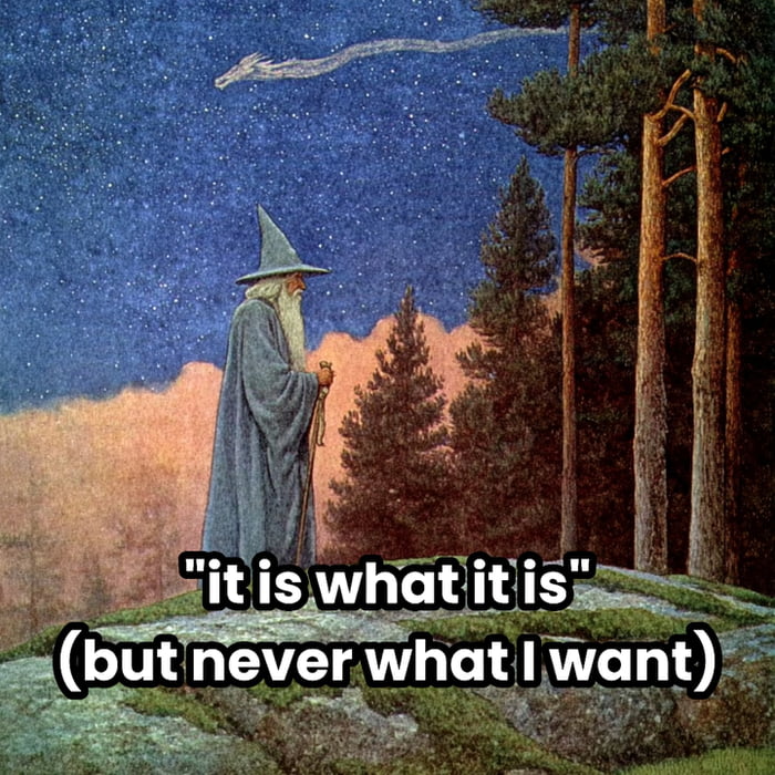 It is what it is - 9GAG