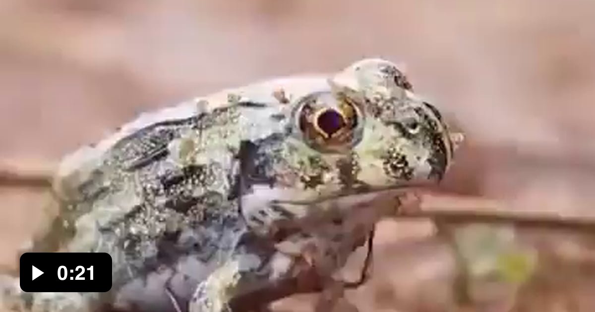 Today is not Wednesday - 9GAG