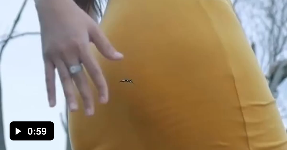 Cewek micet yang punya bodi kayak gini jarang ada, kebanyakan kalau mau ketemu cewek gini ...