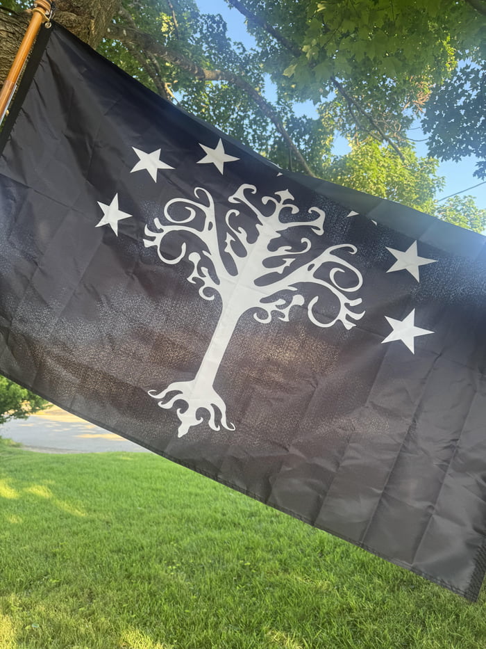 The White Tree and Stars fly high. - 9GAG