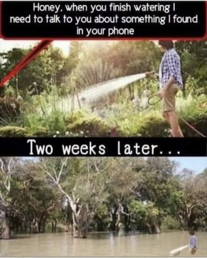 Trump two weeks later - 9GAG