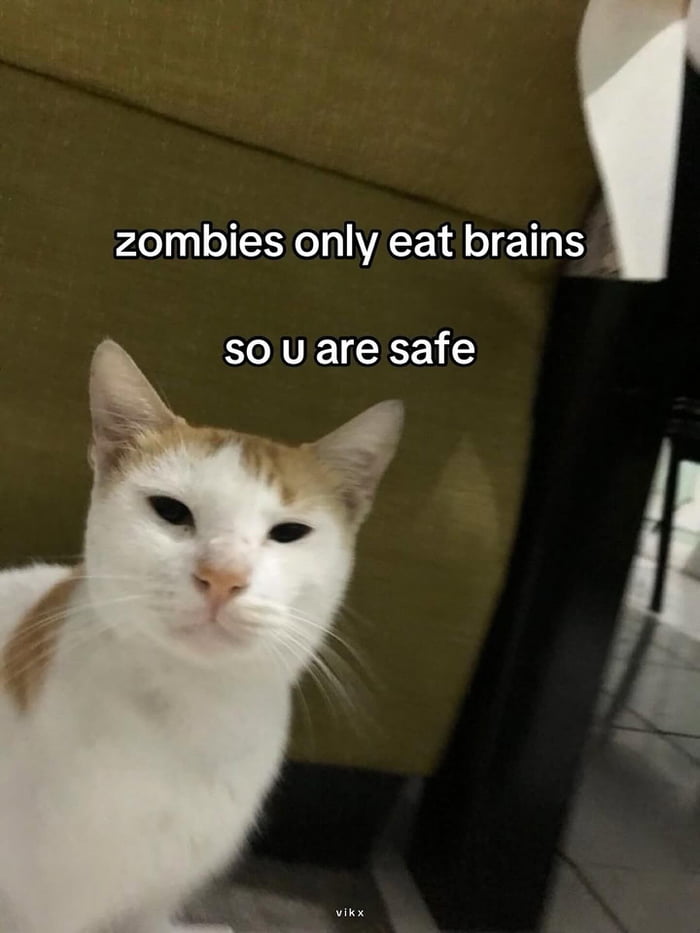 Feeling safe? - 9GAG