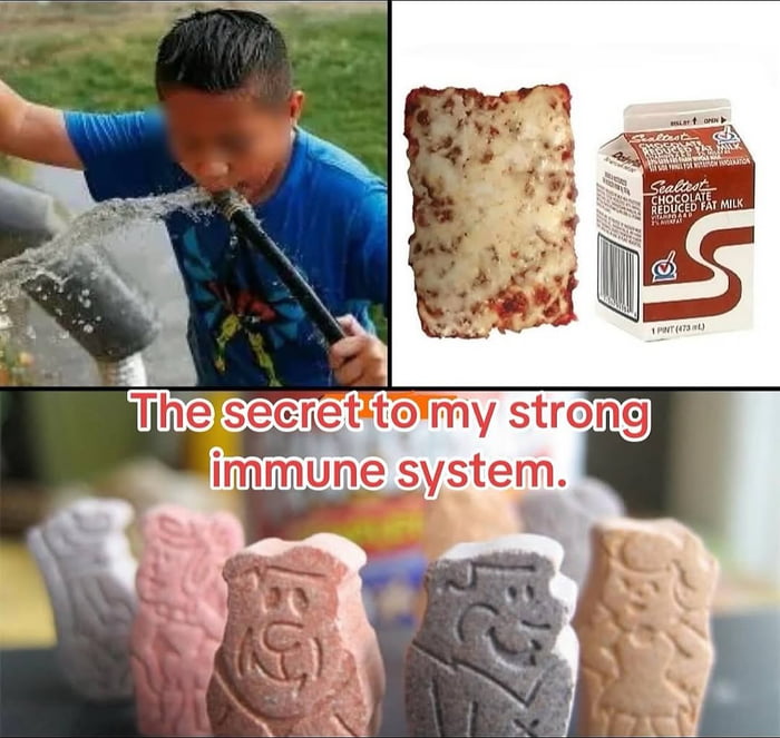 The true secret to a strong immune system revealed - 9GAG