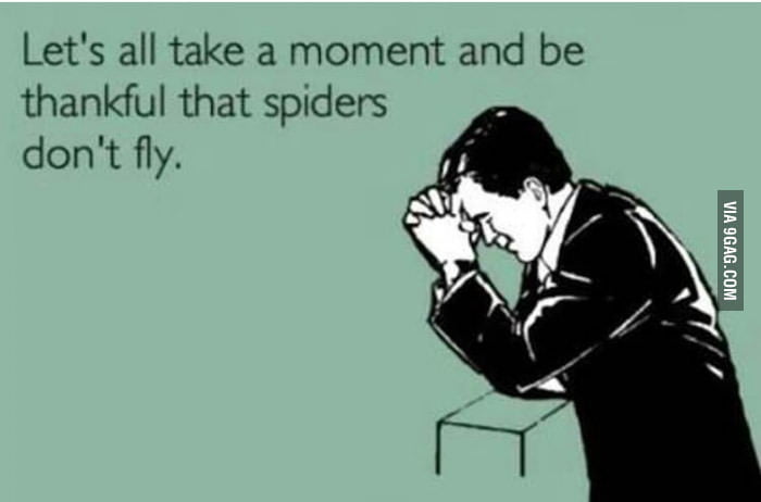 But moths are the MF. - 9GAG