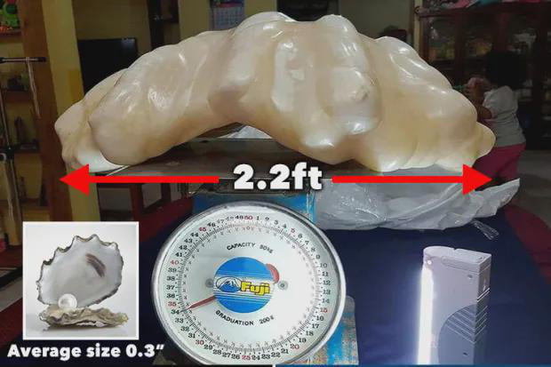 Imagine having a treasure under your bed for a decade and not knowing its true worth. This is a ...