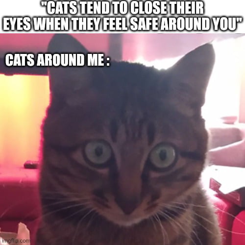 No one read that - 9GAG