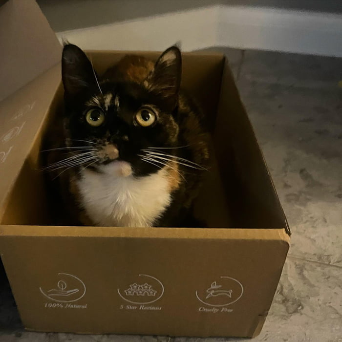 That's a splendid box💖💖😸 - 9GAG