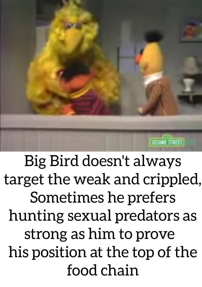 Bert & Ernie #7 - 9GAG