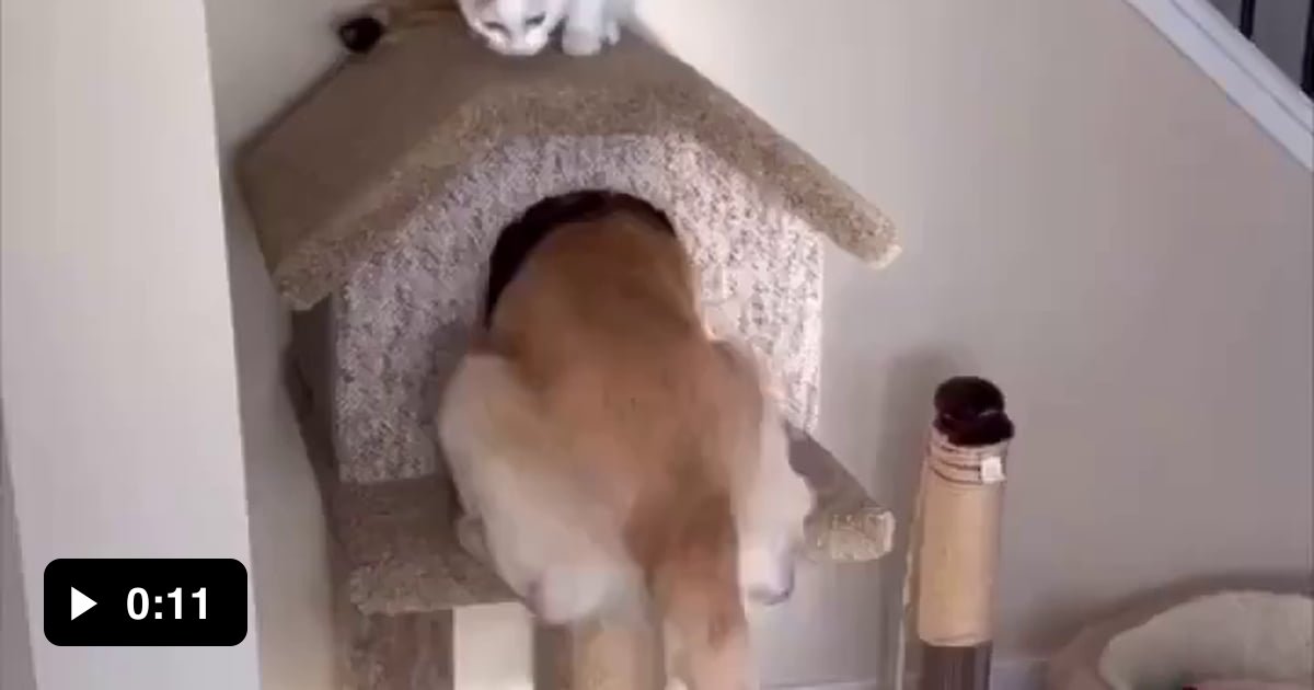 One moment, one moment... Sup Bro - 9GAG