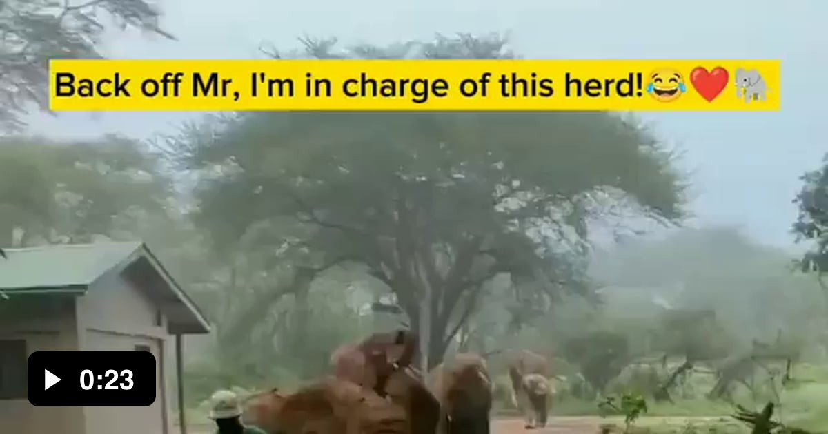 Mom: "Go ahead"😏 - 9GAG