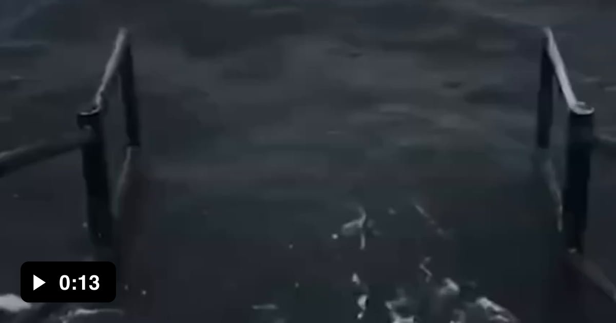 These little piggies built their pavement out of bricks - 9GAG