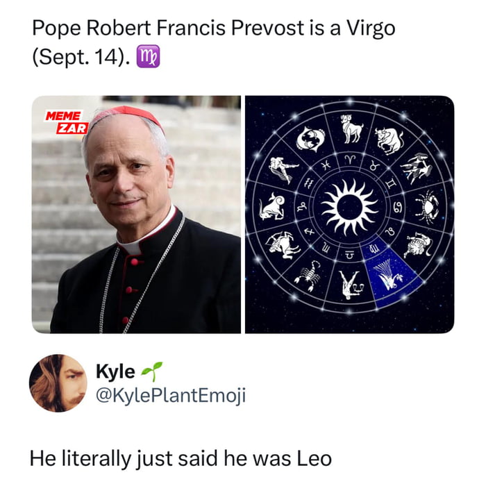 When you can't decide between Leo and Virgo - 9GAG