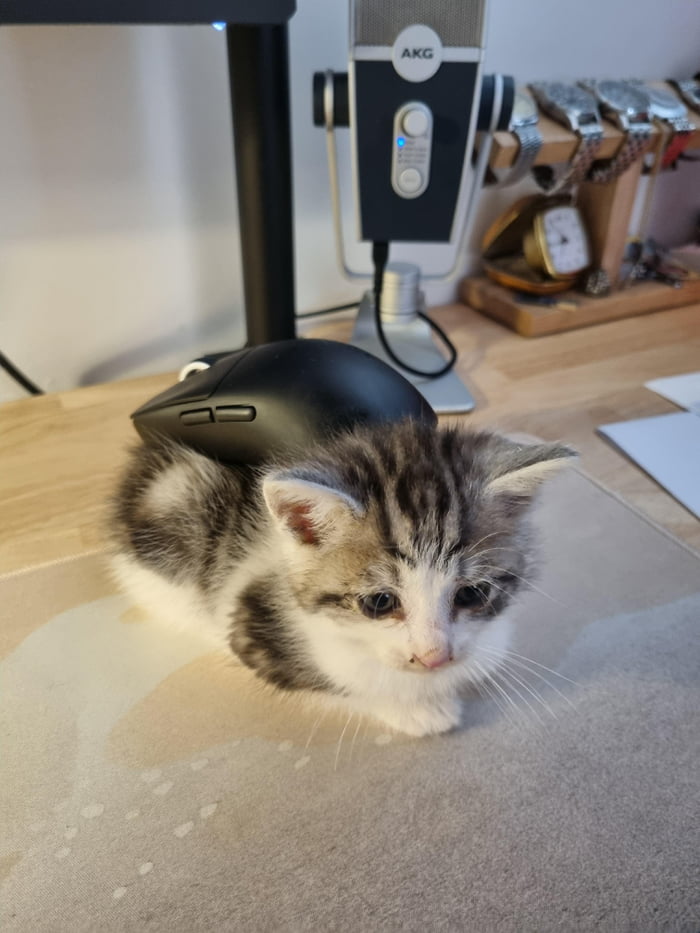 Anti mouse-pad - 9GAG